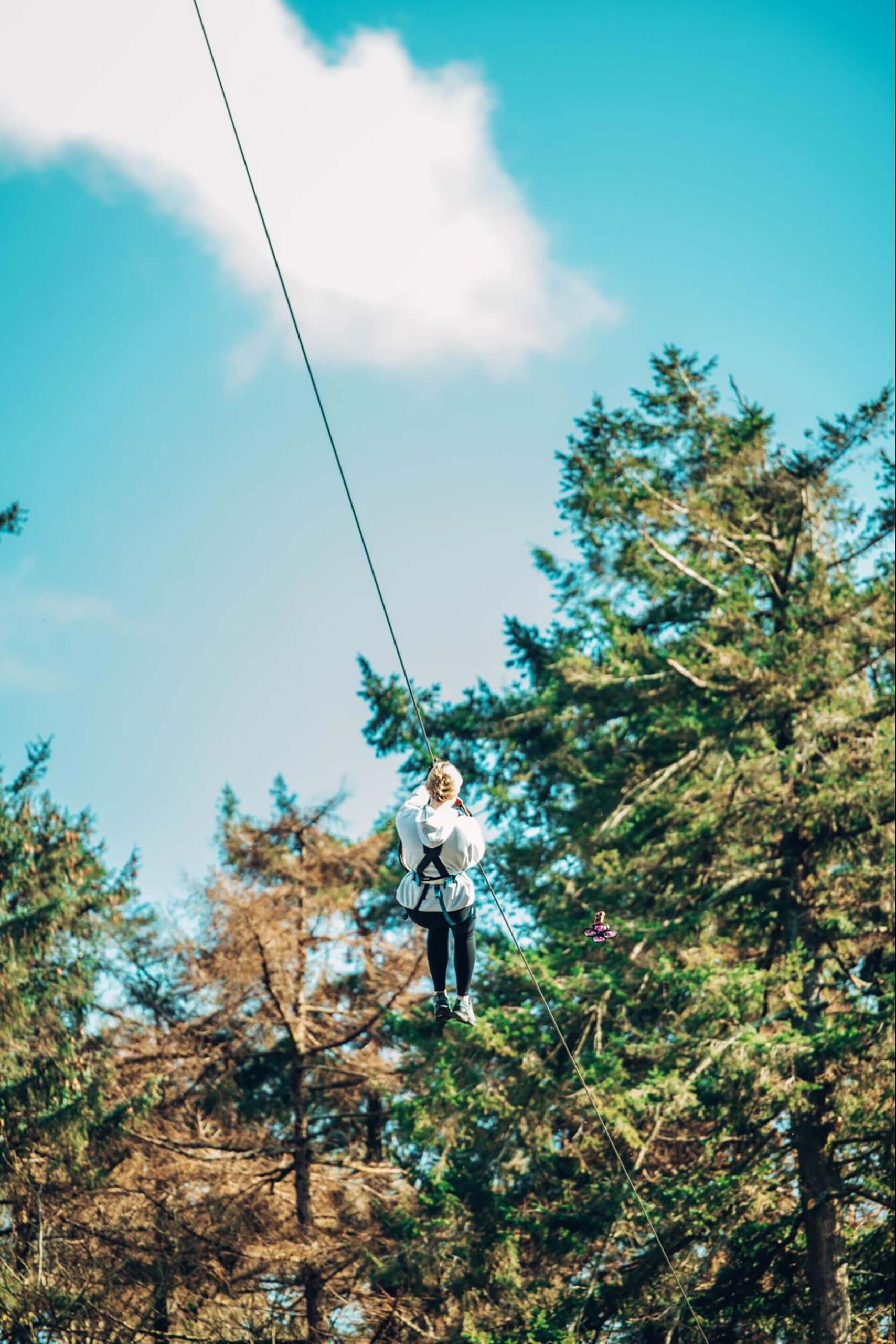 Why Outdoor Team Building Works Better | ZipIt
